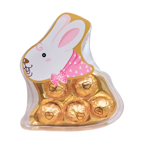 Dew Drop Chocolates Rabbit Box 5Pcs 63g – Nazar Jan's Supermarket